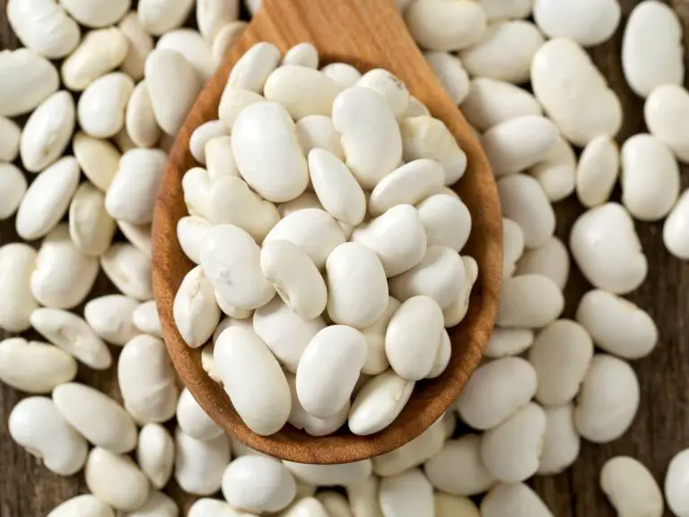 What Are the 4 Types of White Beans? | Delectable Meal